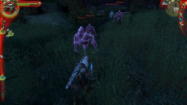 The Witcher- Enhanced Edition. Часть 45. Долгая охота на Дикую охоту