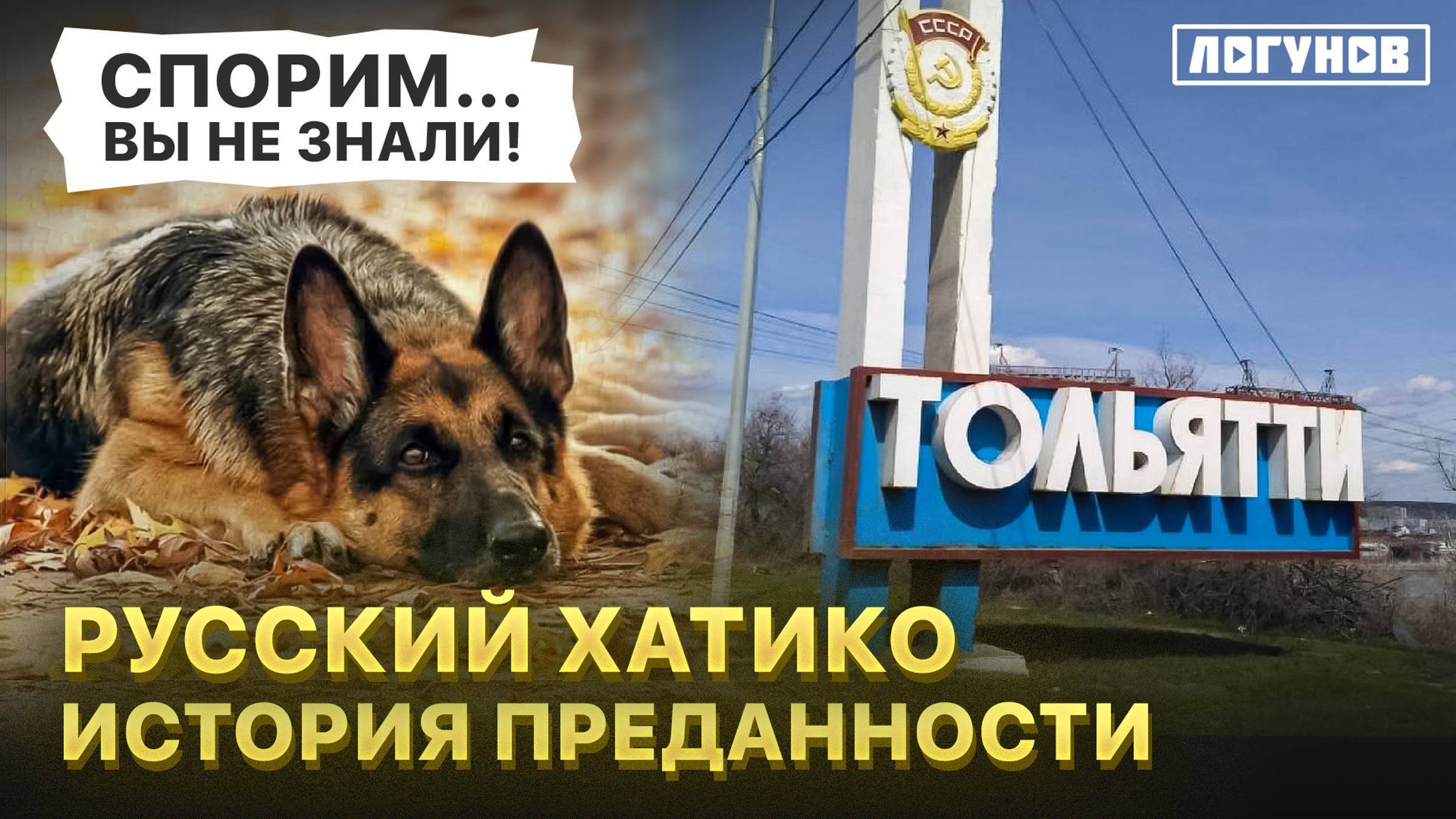 Российский ХАТИКО: удивительная история пса из Тольятти