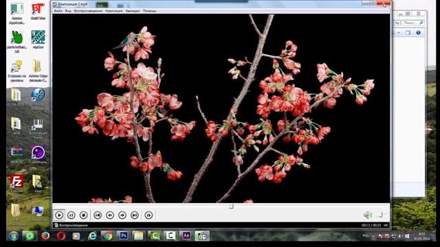 Урок 20. Как удалить однородный фон и лишние элементы из видеофрагмента (360p)