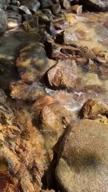 Медитация. Здесь и сейчас #медитацияспб  #пользамедитации #обучениемедитации