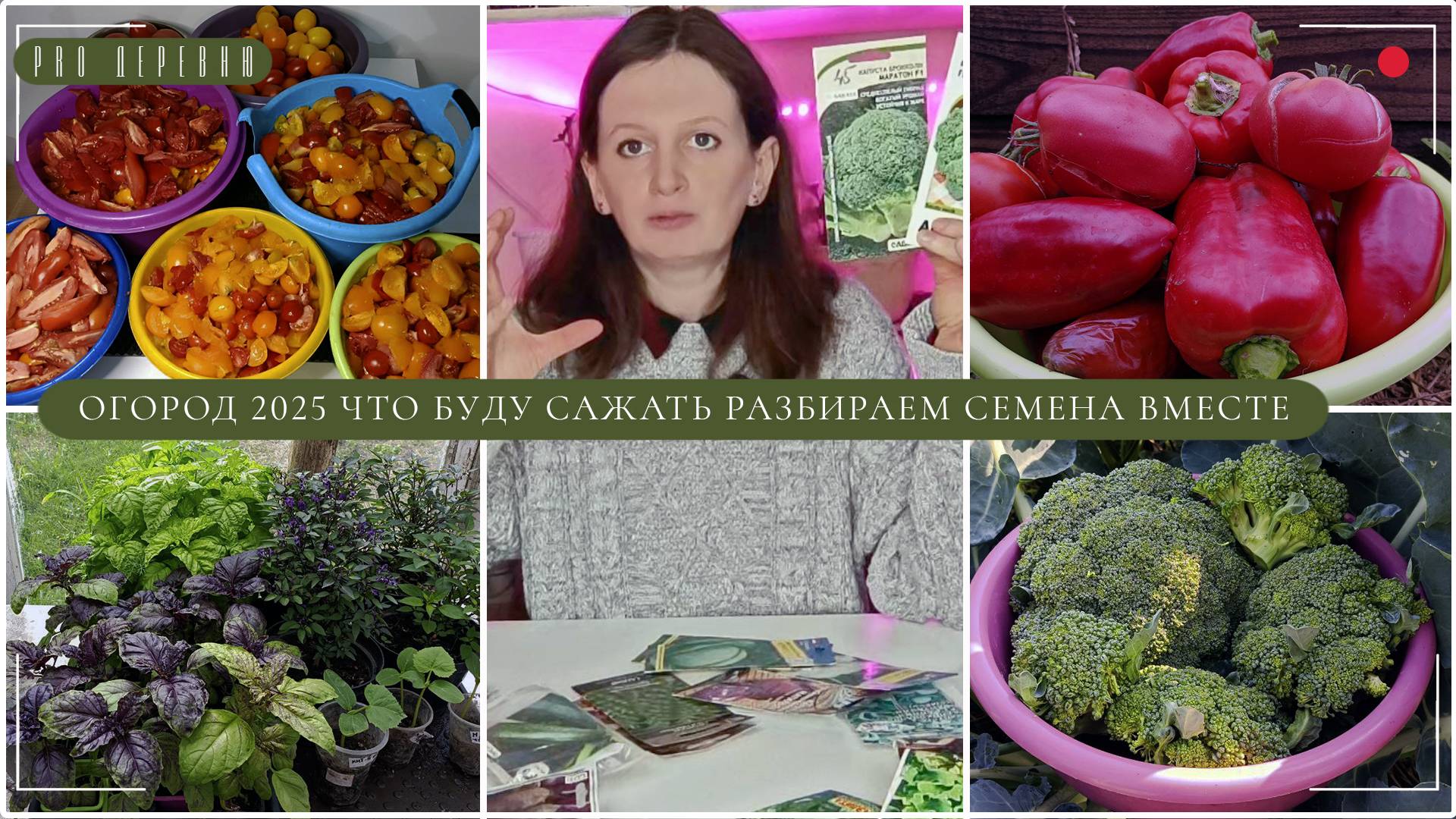 Огород 2025 что буду сажать Разбираем семена вместе