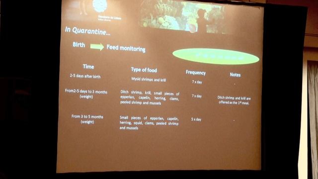 Хуго Батиста и Хоэйо Коррейа «Содержание и размножение синепятнистого рифового хвостокола Taeniura l