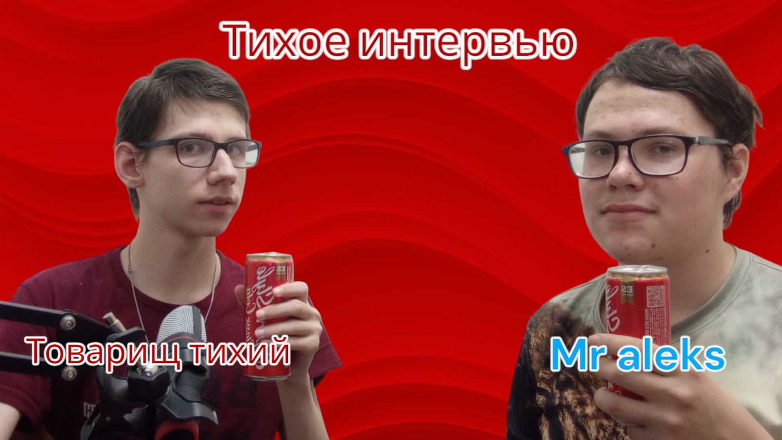 Тихое интервью - Mr aleks о своём канале, друзьях блогерах и семейных ценностях