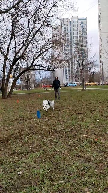 БК Мята - самые первые роллы