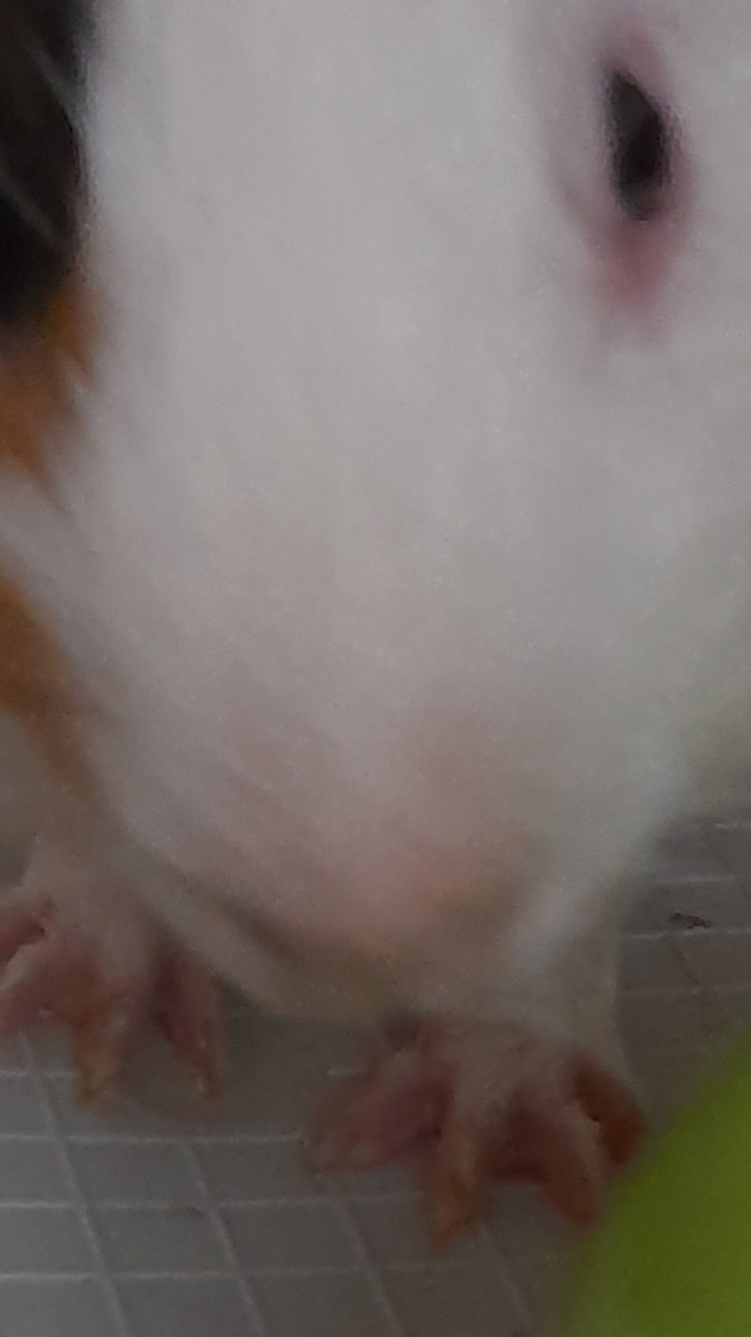 Вы кто такие?! Я вас не звал!