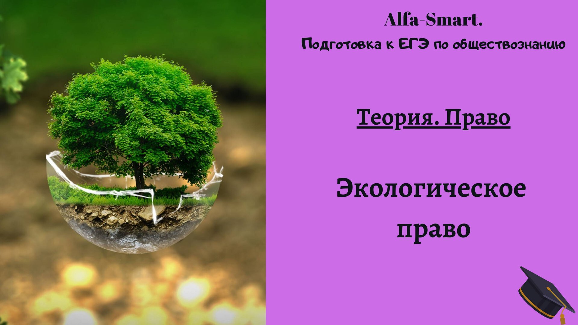 Экологическое право || ЕГЭ по обществознанию