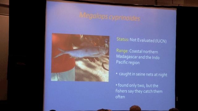 Тим МакКаски и Алекс Саундерс «Рыбы Мадагаскара»