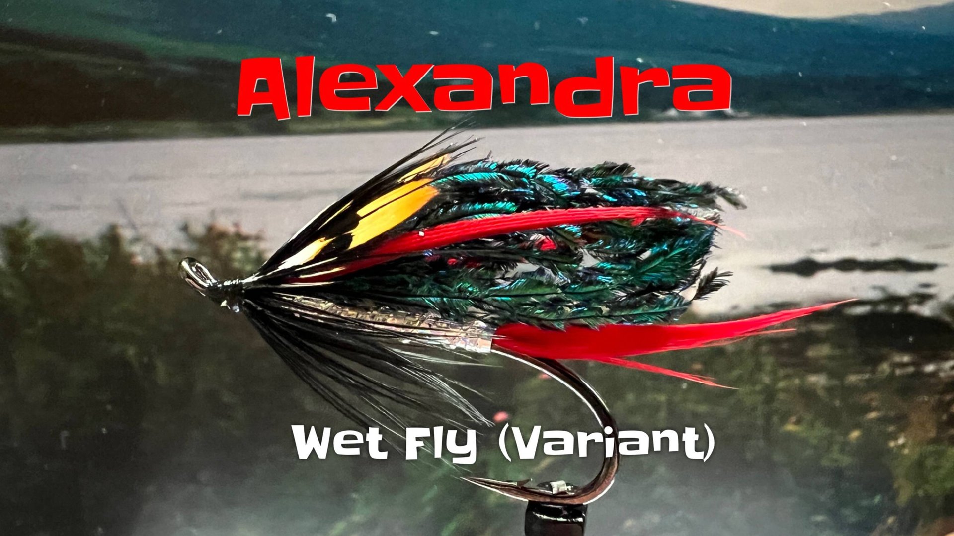 Мокрая мушка Alexandra (Вариант для ловли кумжи) Как связать от GM FLY