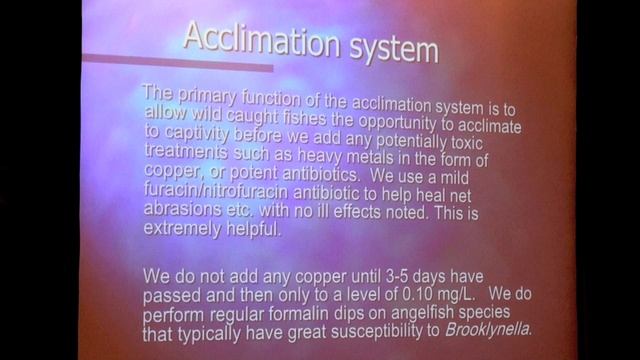 Форрест Янг «Стратегии карантинирования, разработанные для рыб, отловленных в природе в нестандартны