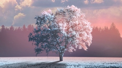 03-02-2025тест восемь