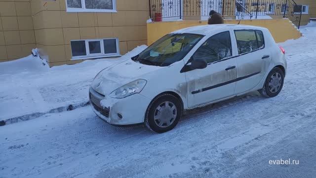 Renault Clio 3е поколение рестайлинг eva коврики в салон evabel.ru 88002224845