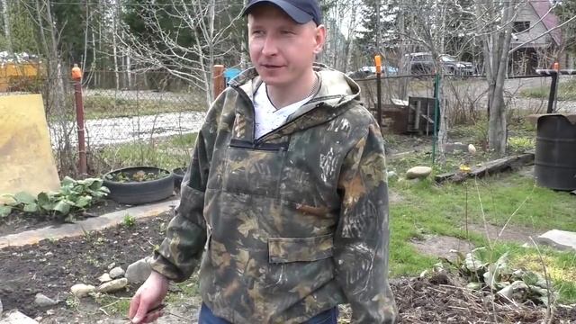 Старинный рецепт кваса из берёзового сока