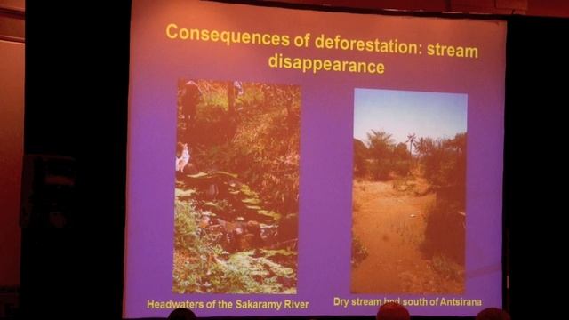 Пол Луизвилль «Ny Trondo Malagasy - рыбы Мадагаскара»