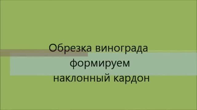 Обрезка винограда осенью. Проще простого.