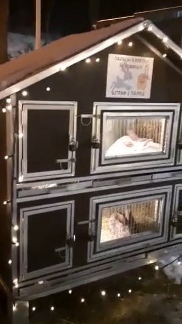 🐰Хотите иметь здоровое потомство от кроликов в течение года?