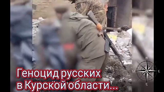 Геноцид Русских в Курской области...