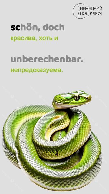 "Giftigt" Rammstein / Teil 2 /  Учите немецкий язык по песням! #shorts