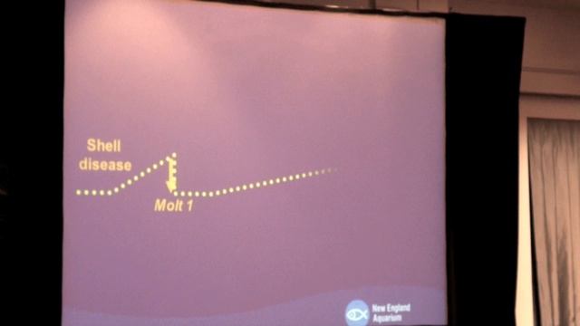 Майкл Тласти «Восприимчивость хозяина как основной фактор развития болезней панциря ракообразных» бе