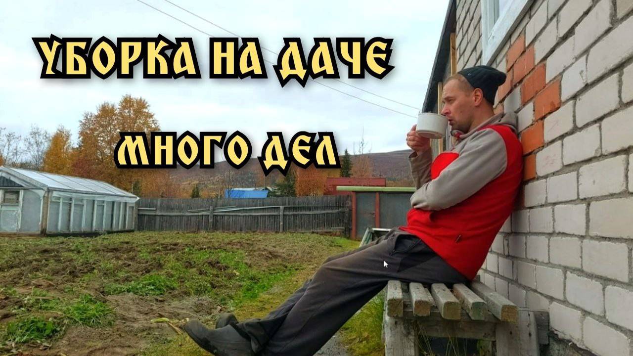 Готовлюсь к зиме. Уборка продолжается.