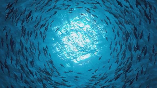 #012 Liquid Love (Vocal Liquid Drum & Bass Mix)