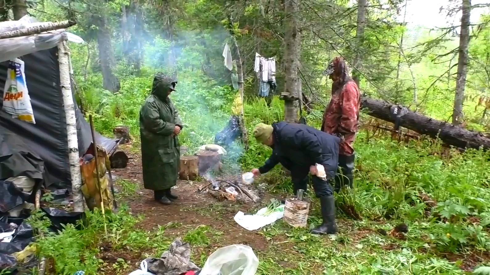 Спасибо природе