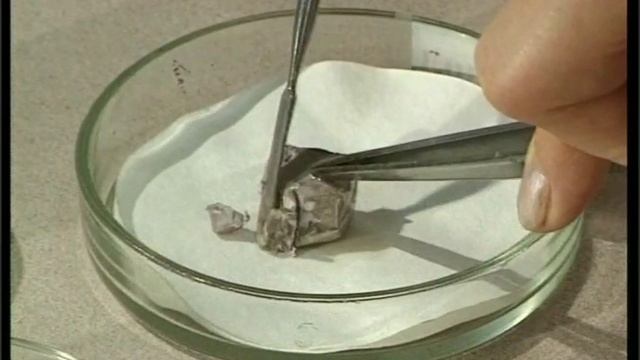 Сравнение свойств спиртов в гомологическом ряду