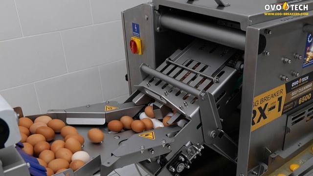 Линия для переработки яйца (мойка, дезинфекция, разбивание с разделением белка и желтка)