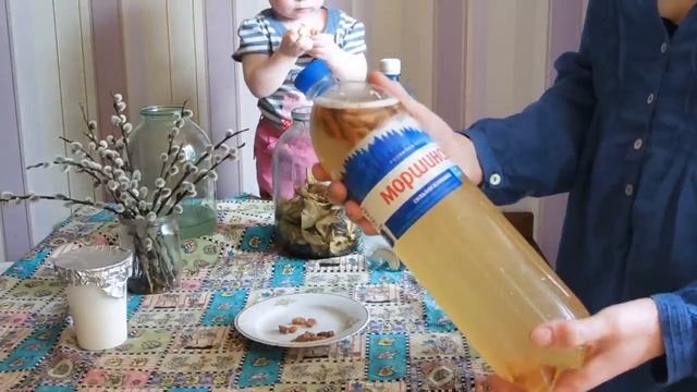 Как приготовить БЕРЕЗОВЫЙ КВАС Очень просто