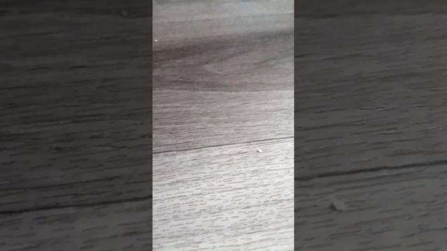 24 часа в скул бой ранувей