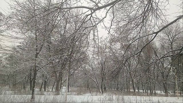 Молодогвардейская зима 20223 г