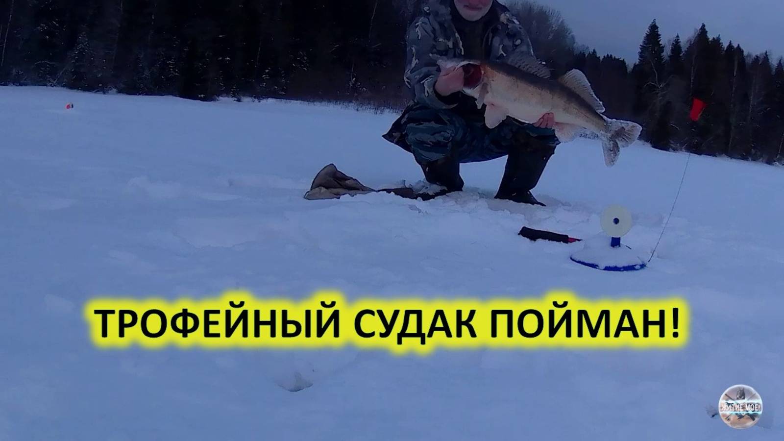 Зимняя рыбалка. Ловлю на жерлицы в корягах. Трофей пойман.