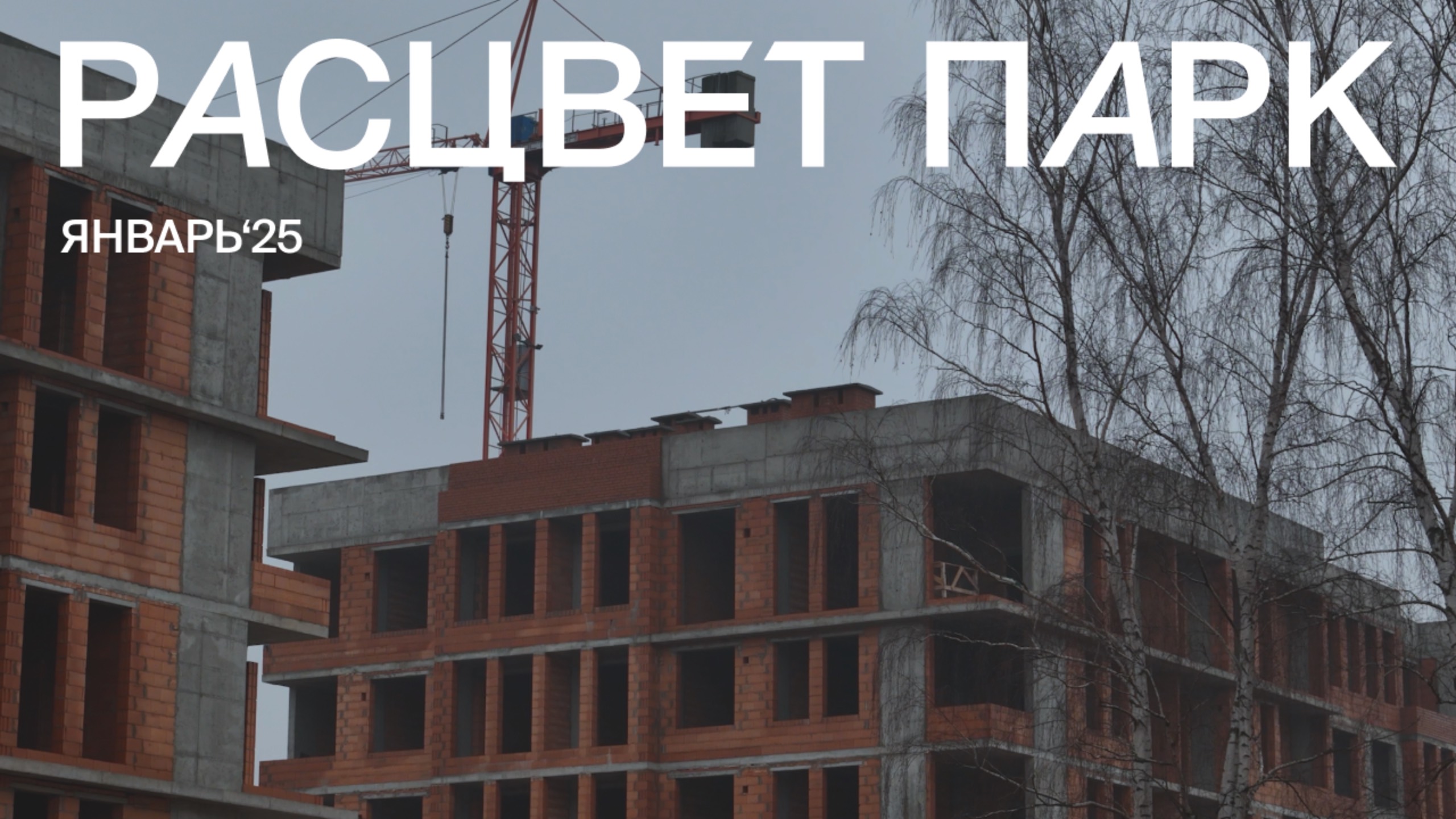 Ход строительства | Январь 2025 | Жилой комплекс бизнес-класса РАСЦВЕТ ПАРК #калининград