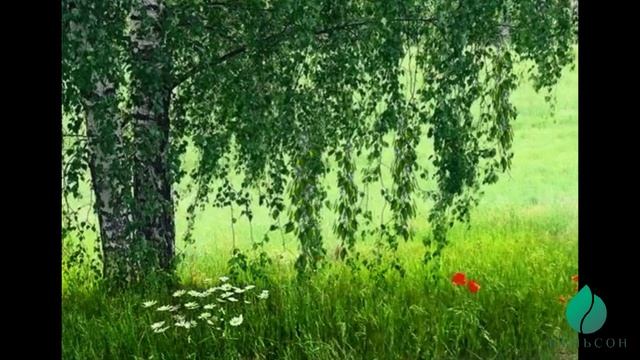 Я ПОМНЮ ДЕНЬ ...Автор А.Нельсон