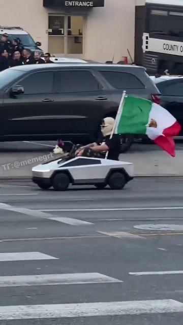 Теперь вы видели всё