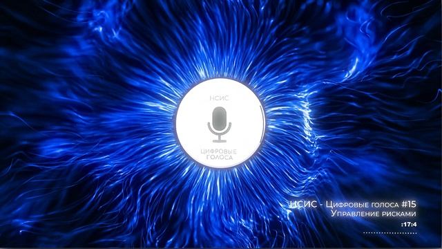 НСИС - Цифровые Голоса - Выпуск #15: Управление рисками