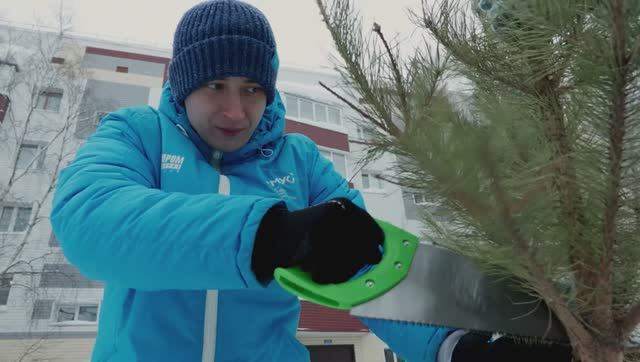 Ёлки-палки: утилизация главного символа Нового года