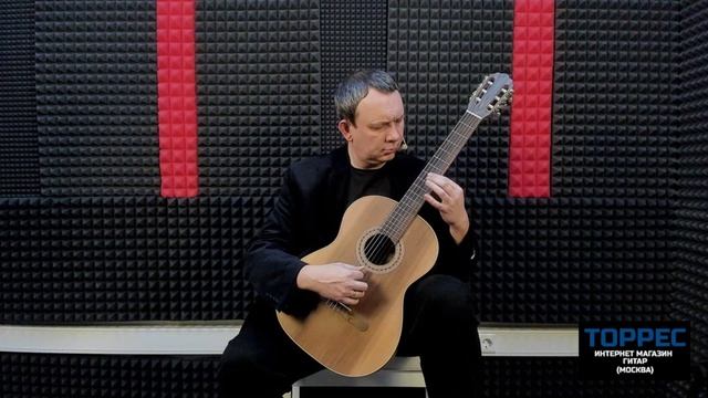 Гитара А. Медведева 011. Тест Юрия Алешникова.