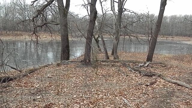 лесной каток - 2