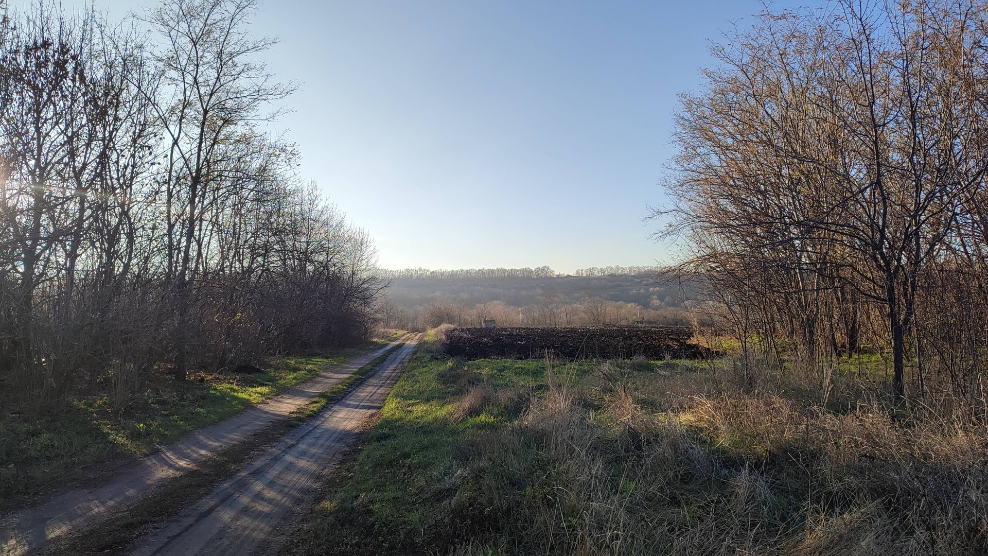 ИЗОБИЛЬНОЕ 03.02.2025г. КТО-ТО ПОЛОМАЛ ДЕРЕВЬЯ В САДУ!!!