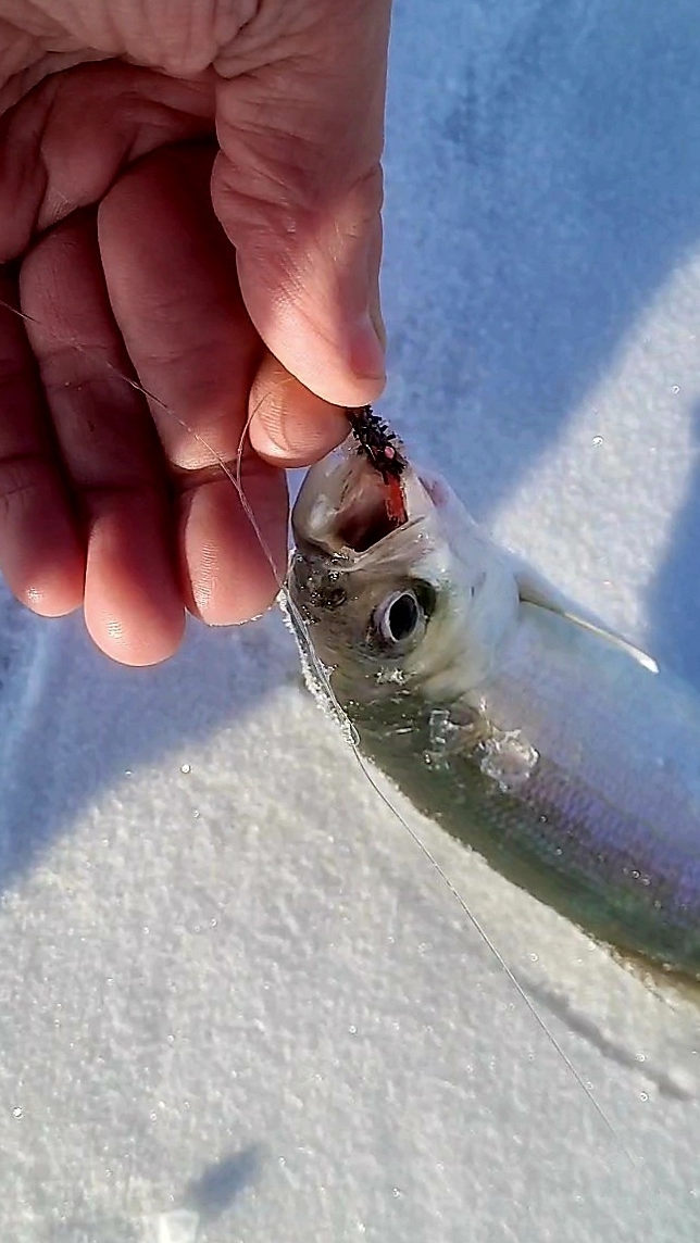 Тестируем настрой из Рачков