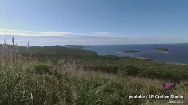 На грибалку