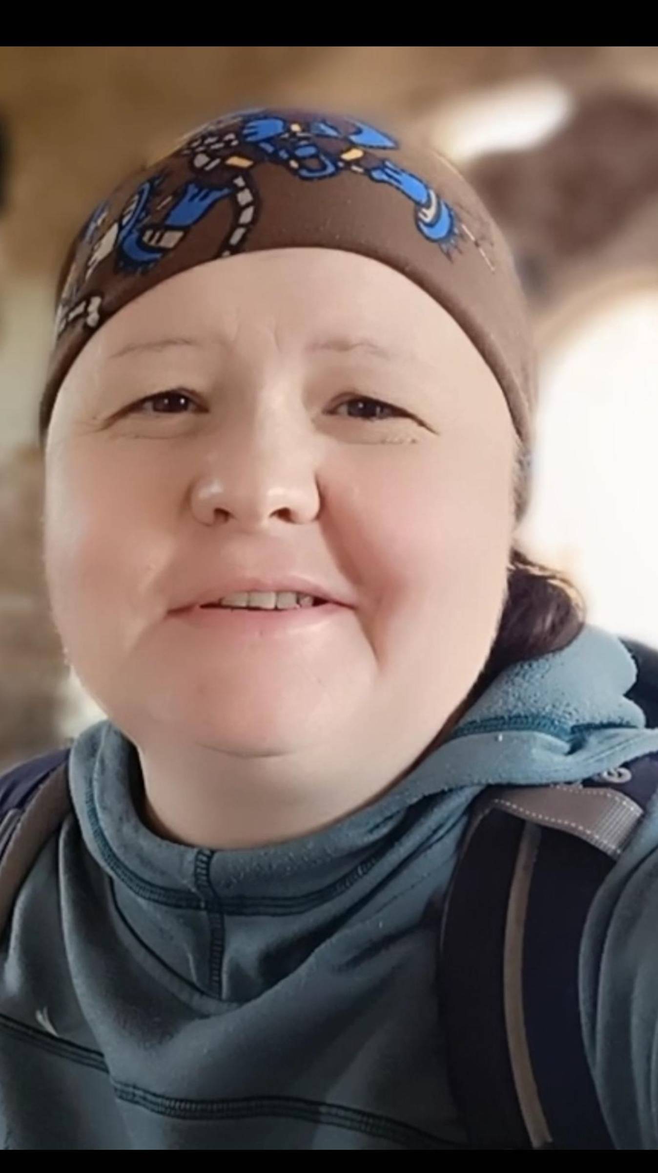 Приколы в поездках. Овцы.