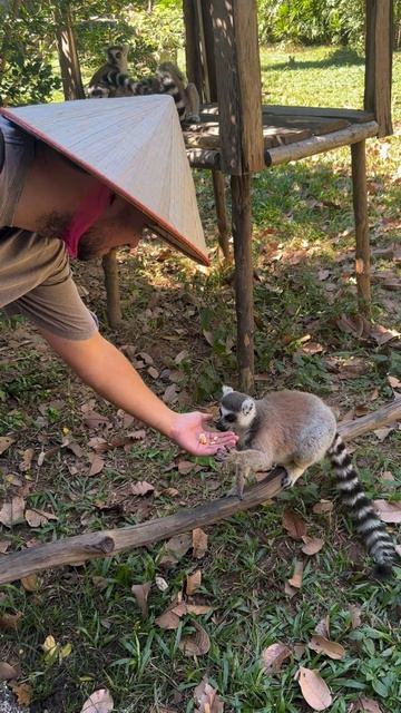 Вьетнам! 🇻🇳