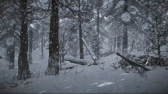 Атмосфера зимнего дня с ветром и звуками падающего снега ASMR в красивом зимнем лесу