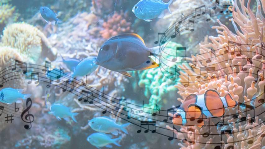 Релакс, Расслабление - Морские рыбки и музыка Конрадина Крейцера Гранд Септет для восстановления