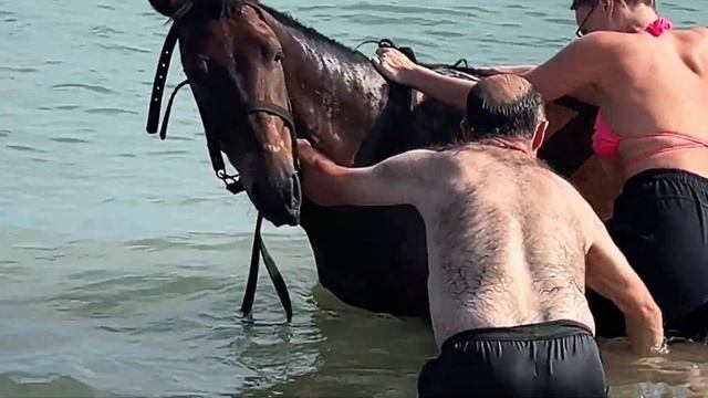 База отдыха со своей кухней у моря Гудаута Абхазия Честный обзор плюсы и минусы