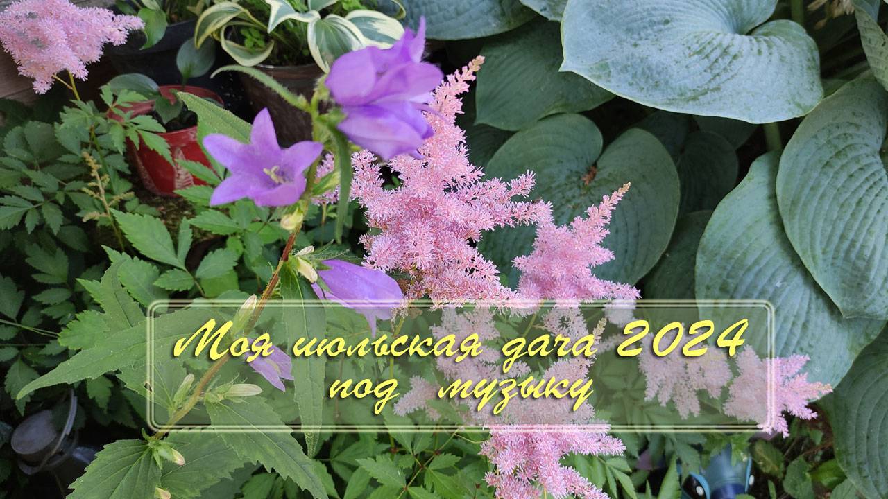 Моя июльская дача 2024. Дачная хроника / Relax / Дача как есть