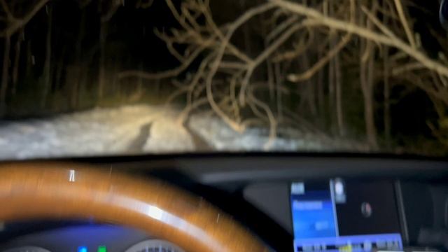 Перевал Лексуса (ни один моноприводный лексус там нем был, да пожалуй и не будет)