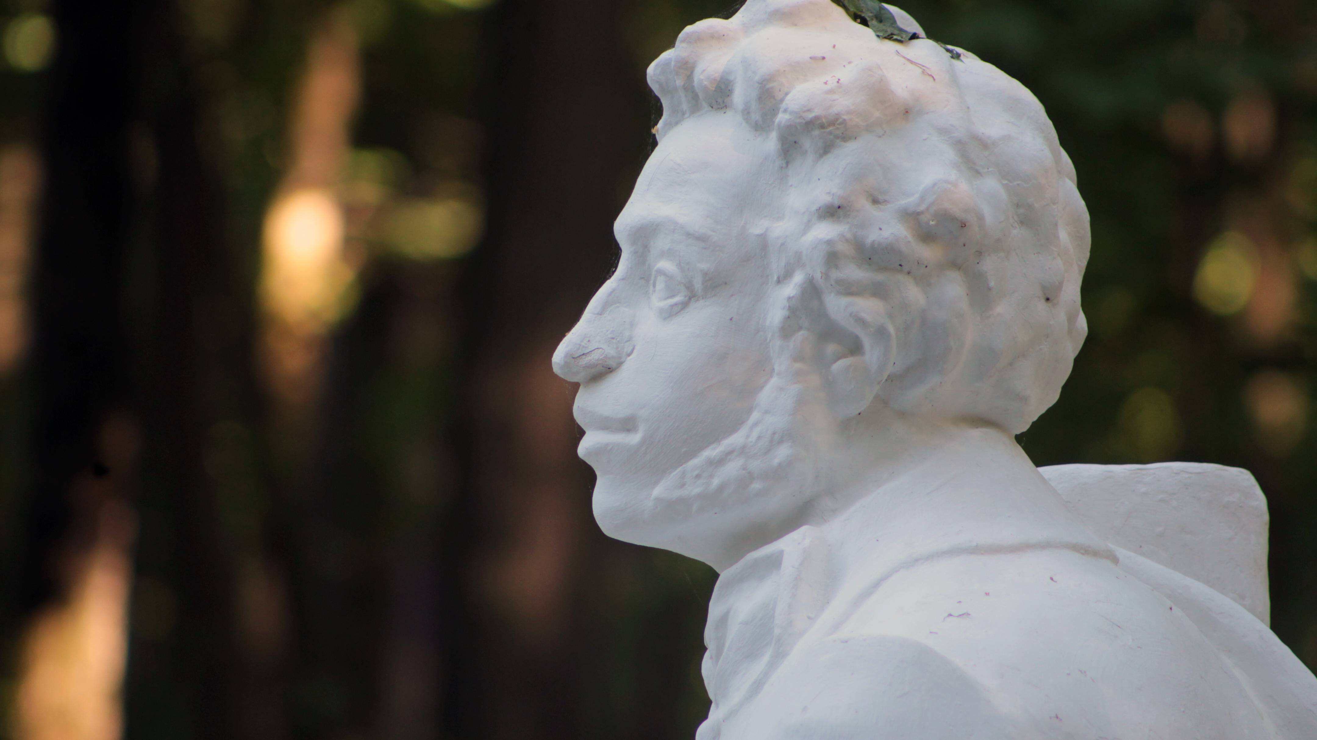 Владимир Полтавский о Пушкине 2025