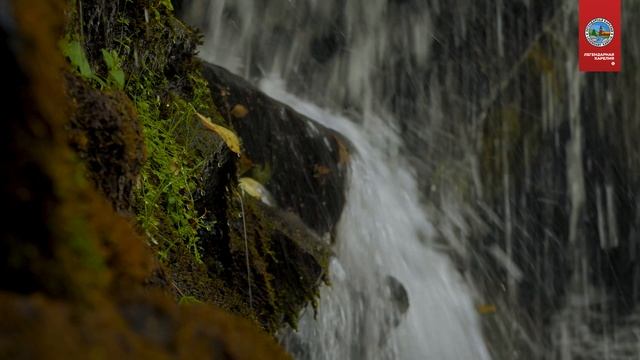 Легендарная Карелия | Белые мосты